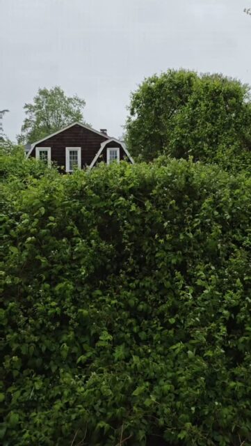 Fall Mood Boards - Nomadic Composure