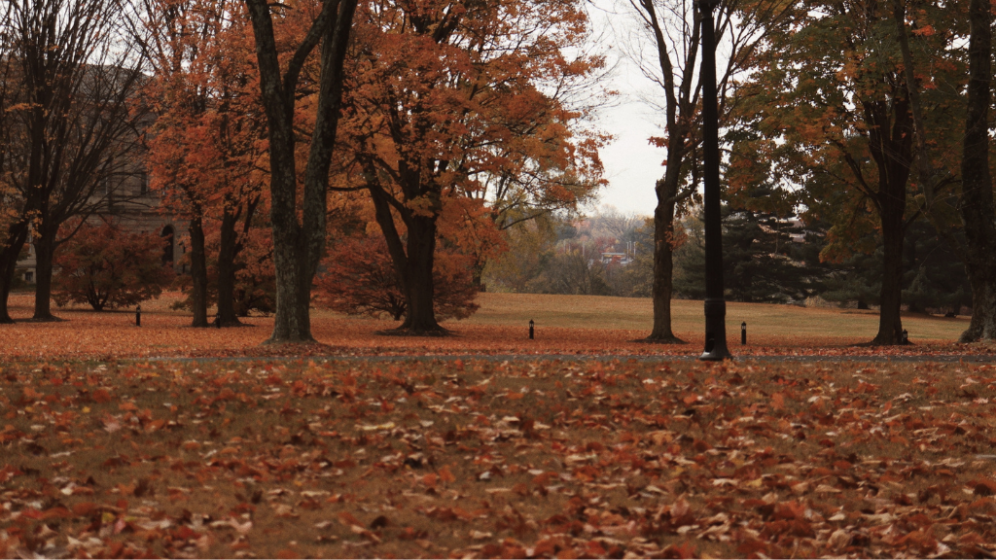 Fall Mood Boards - Nomadic Composure